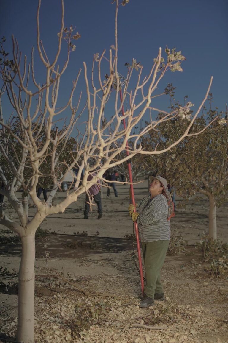 Justin Maxon | Official Site