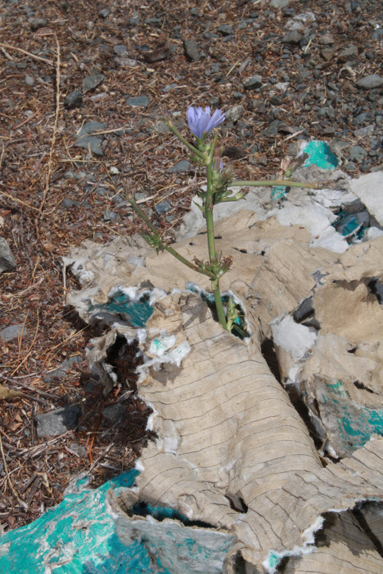 Justin Maxon | Official Site